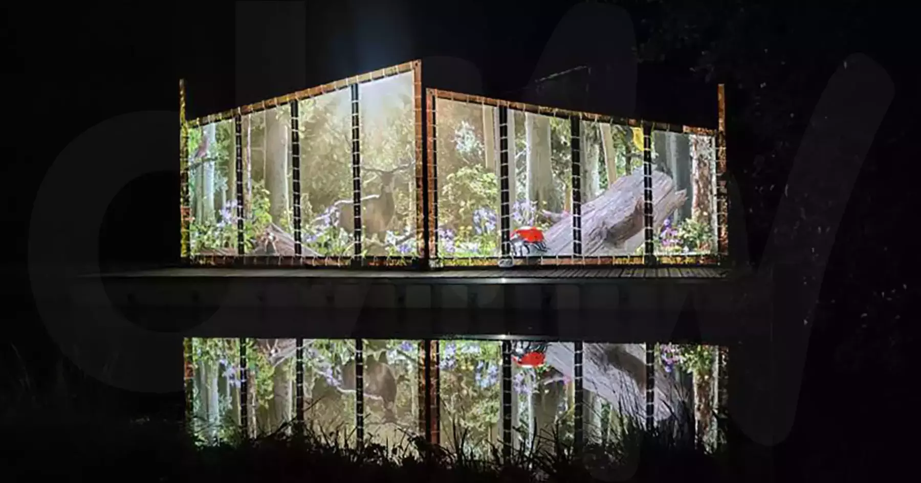 Natura Lumen, the mapping event of this summer at the natural site of Ozières. — DreamWall